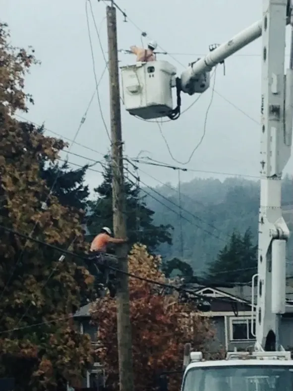 Powerline Construction Vancouver Island | District Powerline District ...